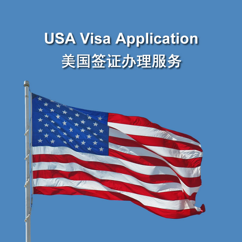 USA American VISA Application Service
